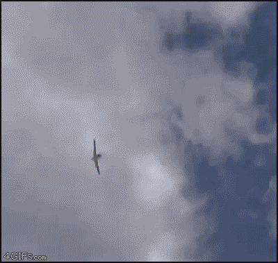 Morbid GIF - Find on GIFER