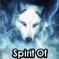 Spirit GIF - Find on GIFER