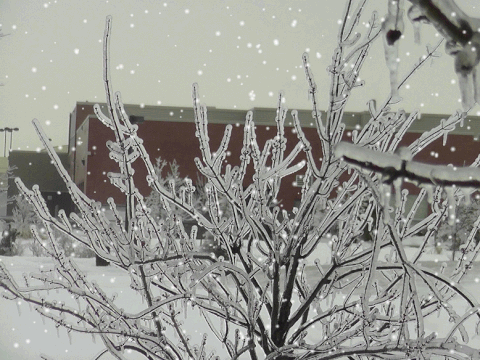 Freezing GIF - Find on GIFER