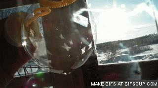 GIF freezing - animated GIF on GIFER