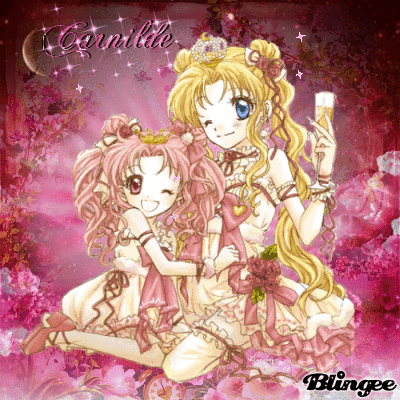 GIF usagi - animated GIF on GIFER