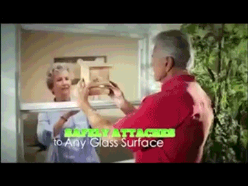 Bird power GIF - Find on GIFER