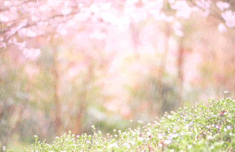 Outside GIF - Find on GIFER