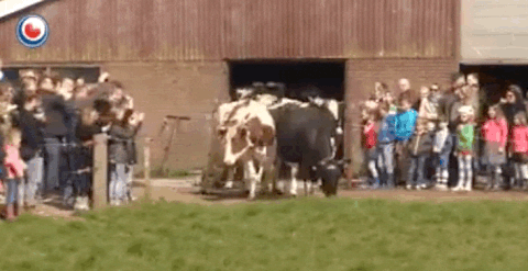 Outside GIF - Find on GIFER