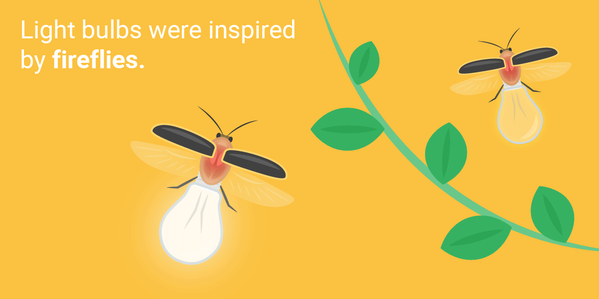 Fireflies GIF - Find on GIFER