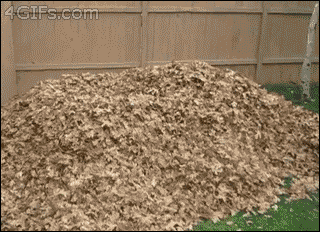 Wheeeee GIF - Find on GIFER