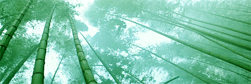 House of flying daggers cinema GIF - Find on GIFER