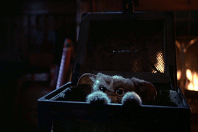 Gremlins movie GIF - Find on GIFER