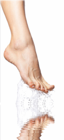 Feet GIF - Find on GIFER