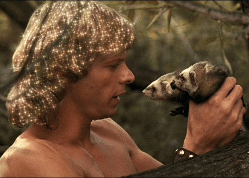 Beastmaster 2 (1991) and Beastmaster 3 (1996) - Blu-ray Forum