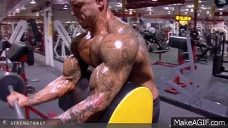 GIF biceps - animated GIF on GIFER