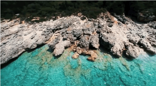 Documentary GIF - Find on GIFER