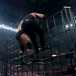 Stone cold steve austin wwe steve austin GIF - Find on GIFER