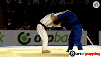 Judo GIF - Find on GIFER