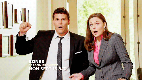 Emily deschanel bones david boreanaz GIF - Find on GIFER
