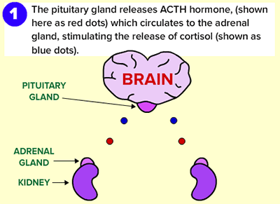 The new normal GIF - Find on GIFER