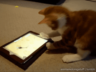 GIF last one - animated GIF on GIFER