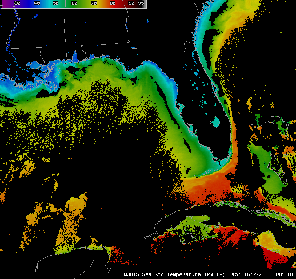 GIF florida - animated GIF on GIFER