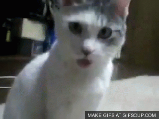 Baseball mlb best GIF - Find on GIFER