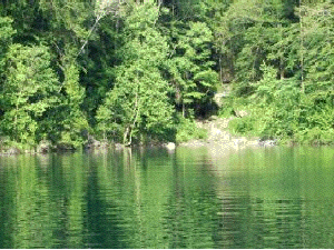 Lake GIF - Find on GIFER