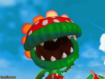 Rawr GIF - Find on GIFER