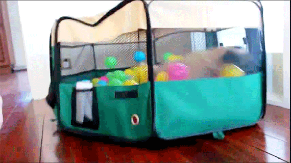 Balls GIF - Find on GIFER