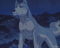 Derek GIF - Find on GIFER