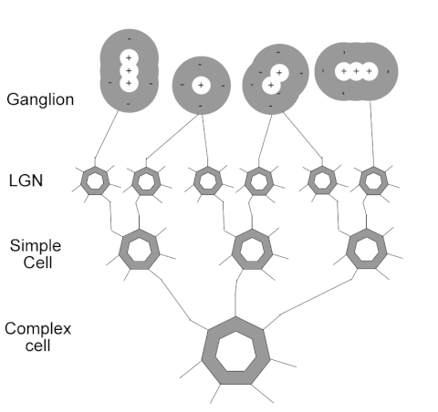 Complex GIF - Find on GIFER