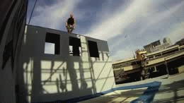 GIF trampolines - animated GIF on GIFER