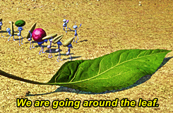 A bugs life GIF - Find on GIFER