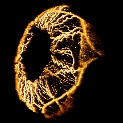 Sauron eye issue GIF - Find on GIFER