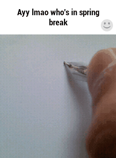 GIF french - animated GIF on GIFER