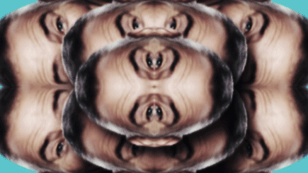 GIF loop crazy face - animated GIF on GIFER