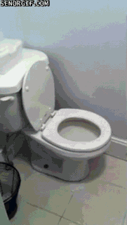 Gif De Baño De Ciudad Ancha