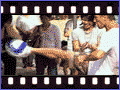 Revealed GIF - Find on GIFER