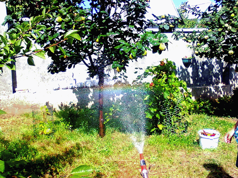 Yankees present alley GIF - Find on GIFER