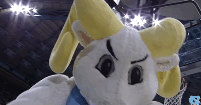 Mascot go heels goheels GIF - Encontrar en GIFER