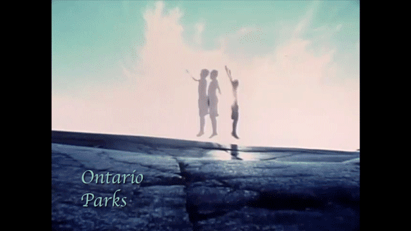 Film photography GIF - Find on GIFER