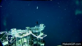 Deep sea GIF - Find on GIFER