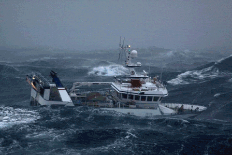 Ba bloop doop GIF - Find on GIFER