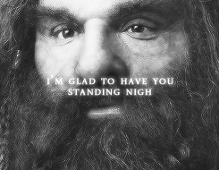 Gimli GIF - Find on GIFER