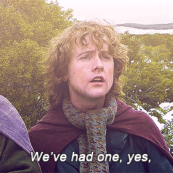 Pippin GIF - Find on GIFER