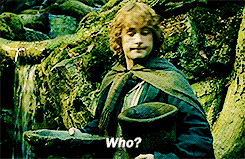 Hobbits GIF - Find on GIFER