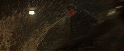 GIF mockingjay - animated GIF on GIFER