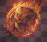 Mockingjay GIF - Find on GIFER