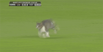 Evangelion llora no GIF - Encontrar en GIFER