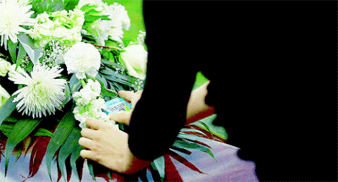 GIF tfios - animated GIF on GIFER