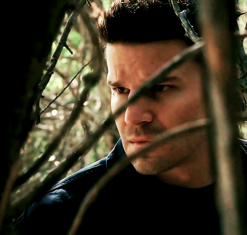 Bones spoilers GIF - Find on GIFER