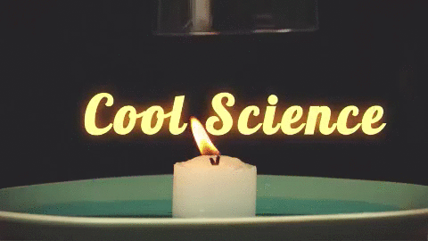 Cool science seriously though how fantastic is she ciencia GIF ...