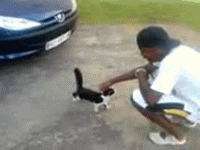 GIF raiders comments greetings - animated GIF on GIFER